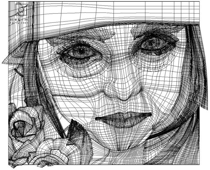 Incredibly Photorealistic Vector Art | Amusing Planet